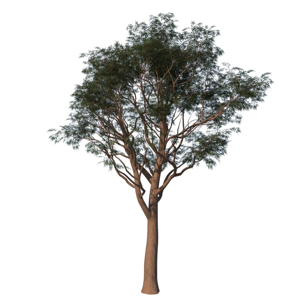 Tree without background high quality free download 28346389 PNG