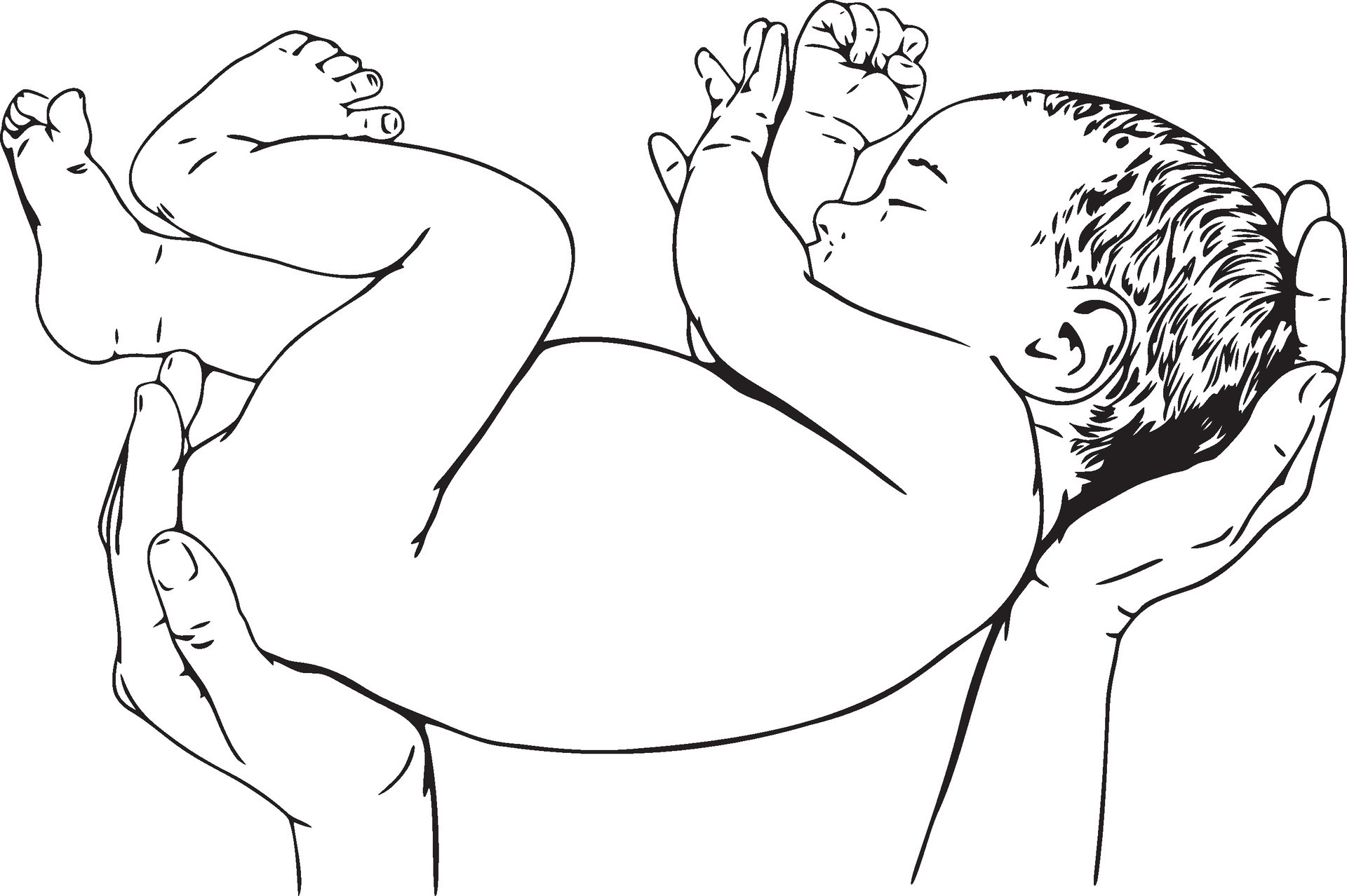 Newborn baby vector illustration 28346933 Vector Art at Vecteezy