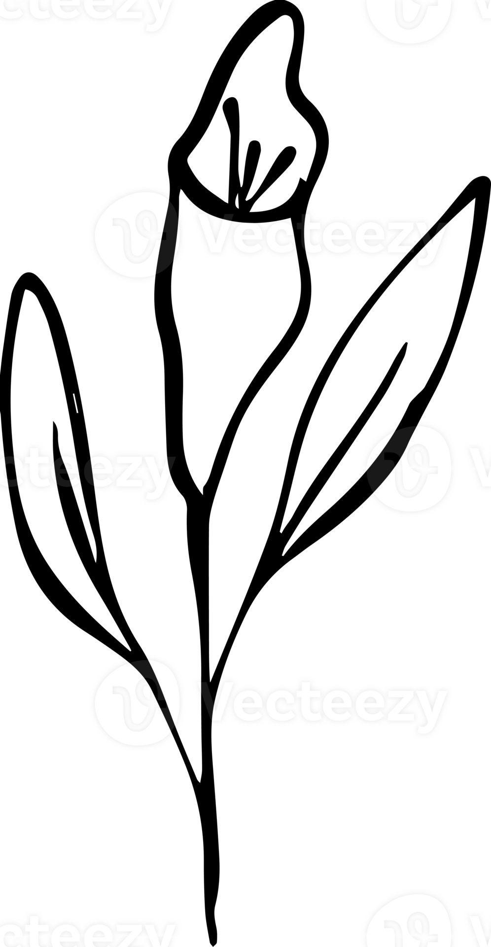 Jungle Leaves Line Art Icons Nature Forest 28347552 PNG Jungle Leaves Line Art Icons Nature Forest 28347552 PNG