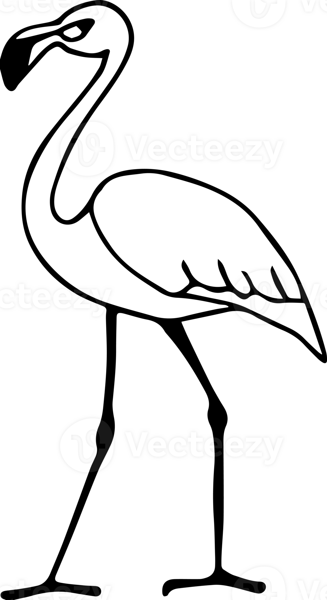 Jungle Bird Animal Line Art Icons Nature Forest 28347556 PNG Jungle Bird Animal Line Art Icons Nature Forest 28347556 PNG