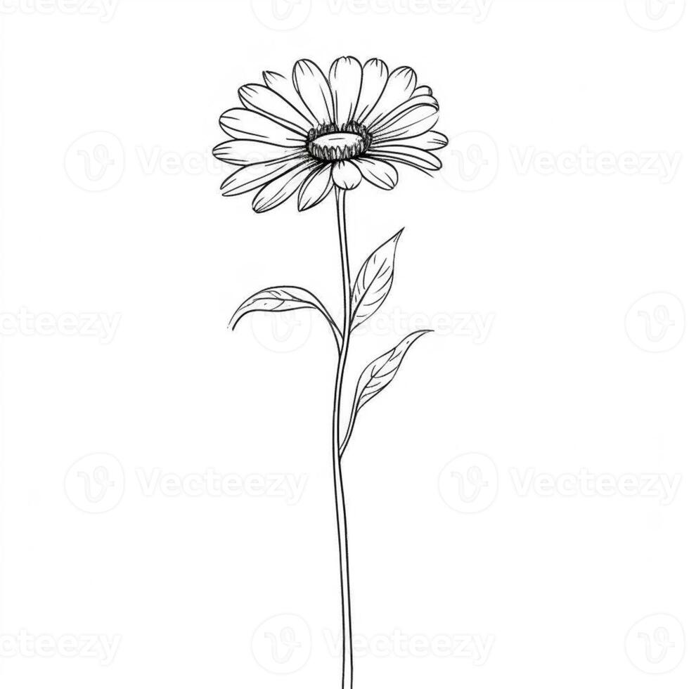a drawing of a single flower with a stem and leaves. generative ai. 28497750 Stock Photo at Vecteezy