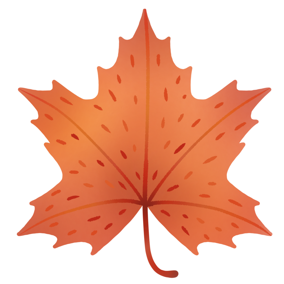 leaves change color in autumn 28538600 PNG leaves change color in autumn 28538600 PNG