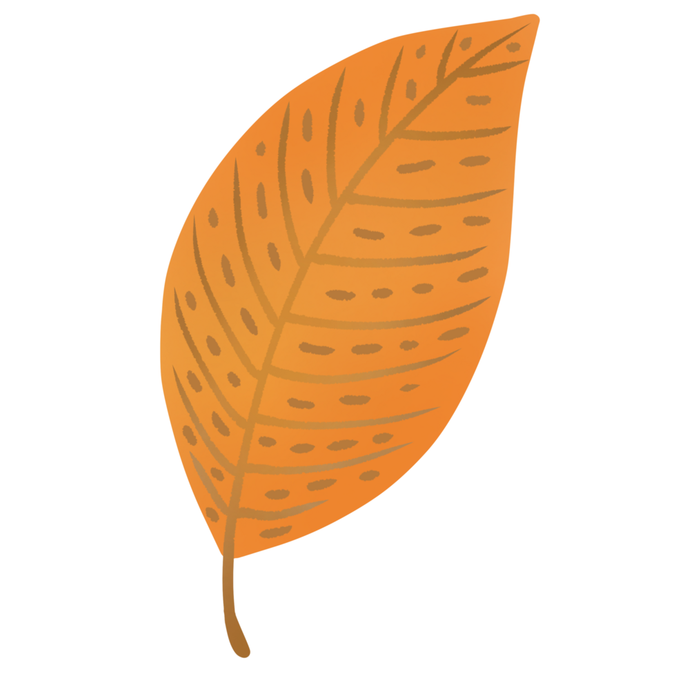 leaves change color in autumn 28538618 PNG leaves change color in autumn 28538618 PNG
