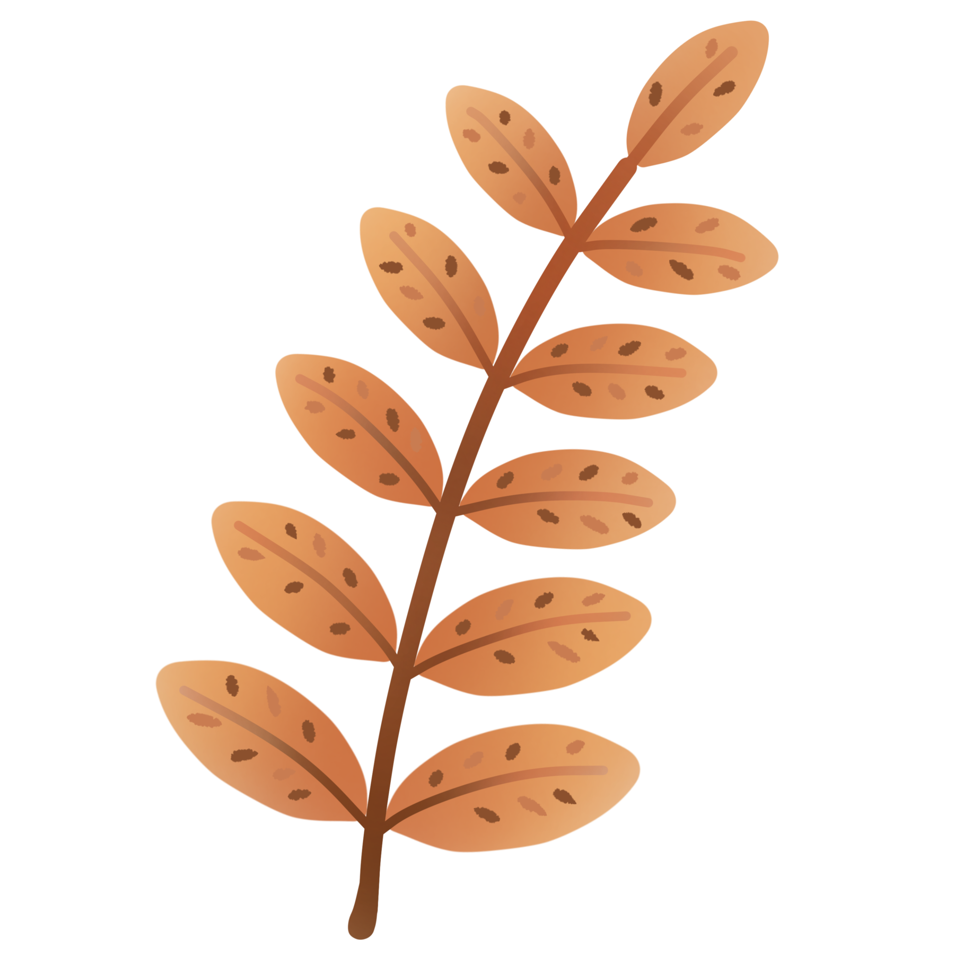 Leaves Change Color In Autumn 28538620 PNG leaves-change-color-in-autumn-28538620-png