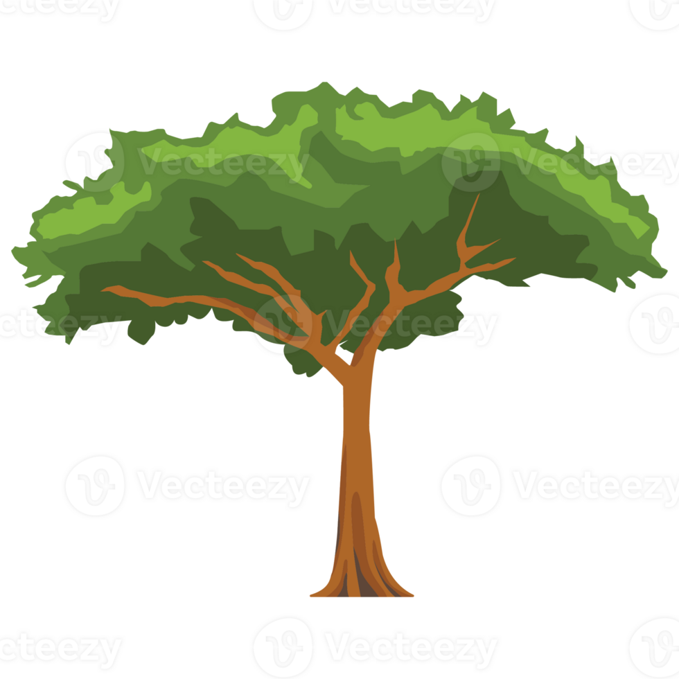 Tree Nature 2D Color Illustrations 28538996 PNG