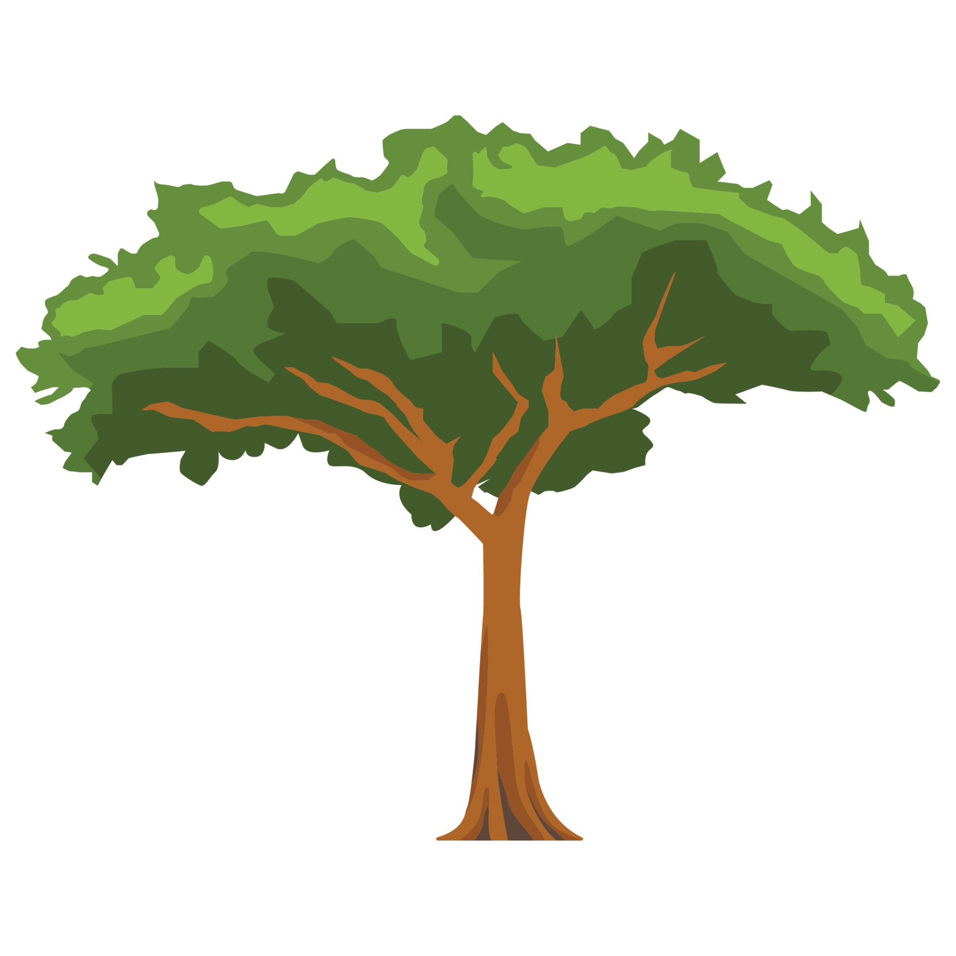 Tree Nature 2D Color Illustrations 28538996 PNG