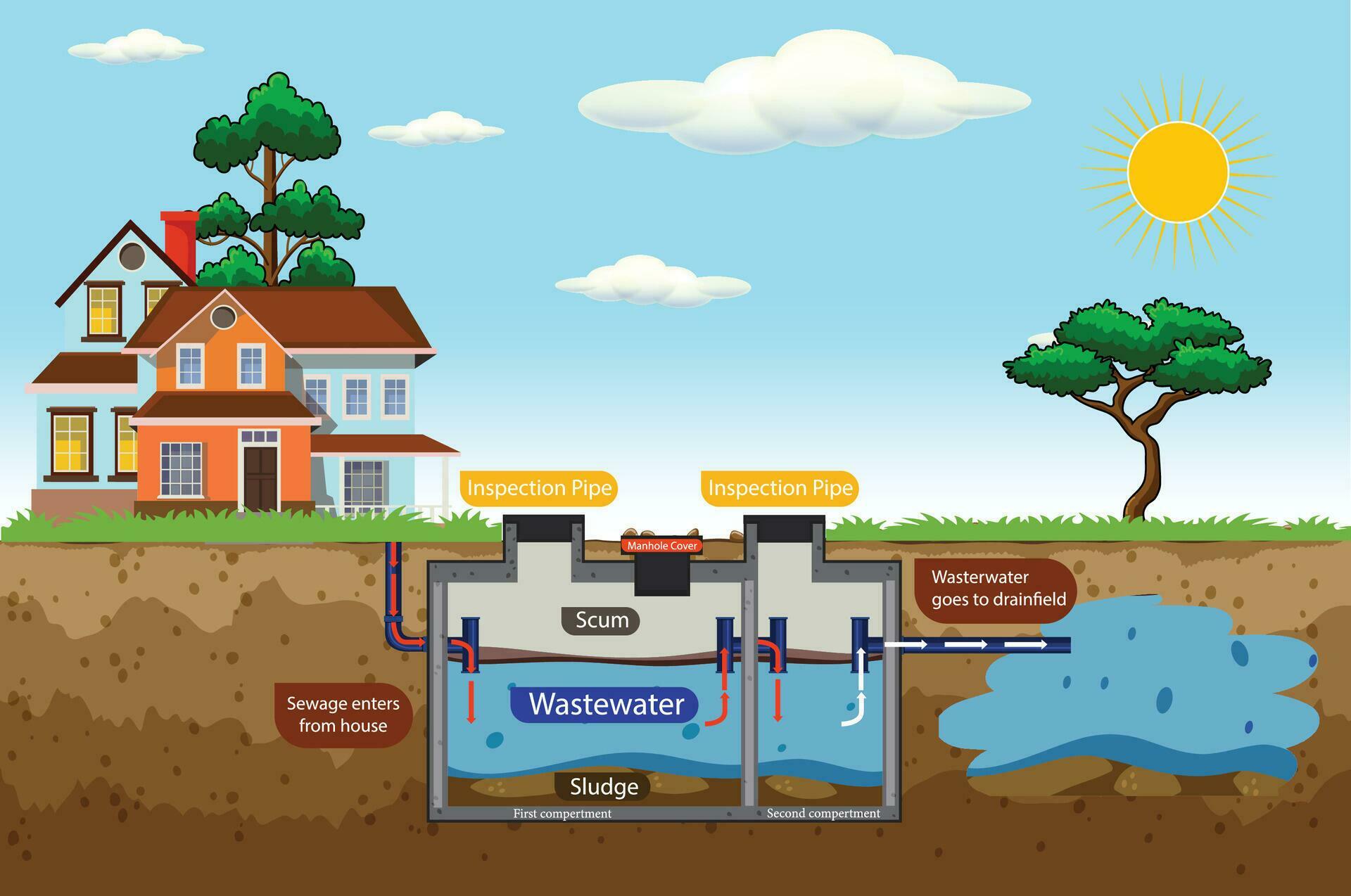 Septic Tank diagram. Septic system and drain field scheme. An ...