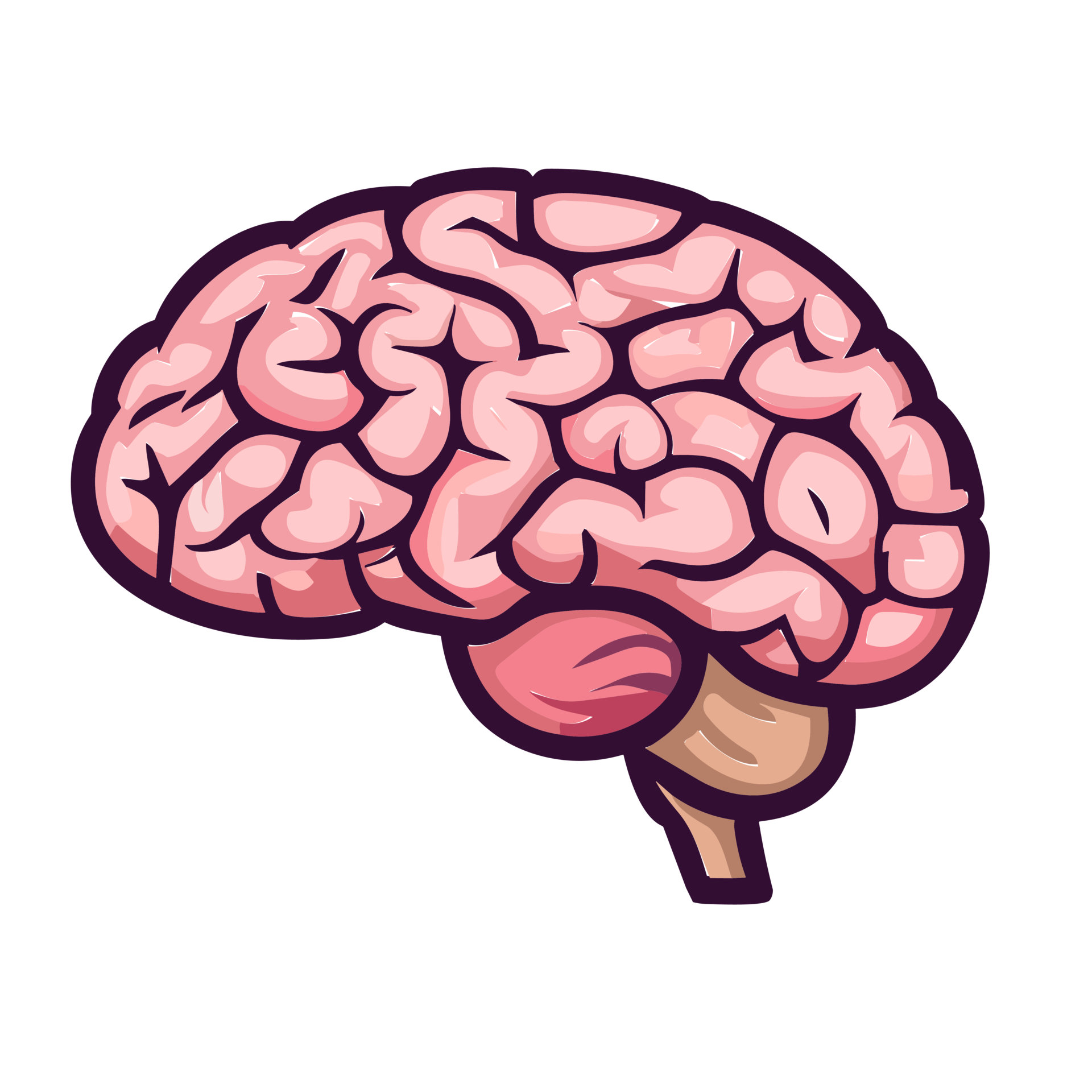Cerebro The Powerhouse Of The Mind