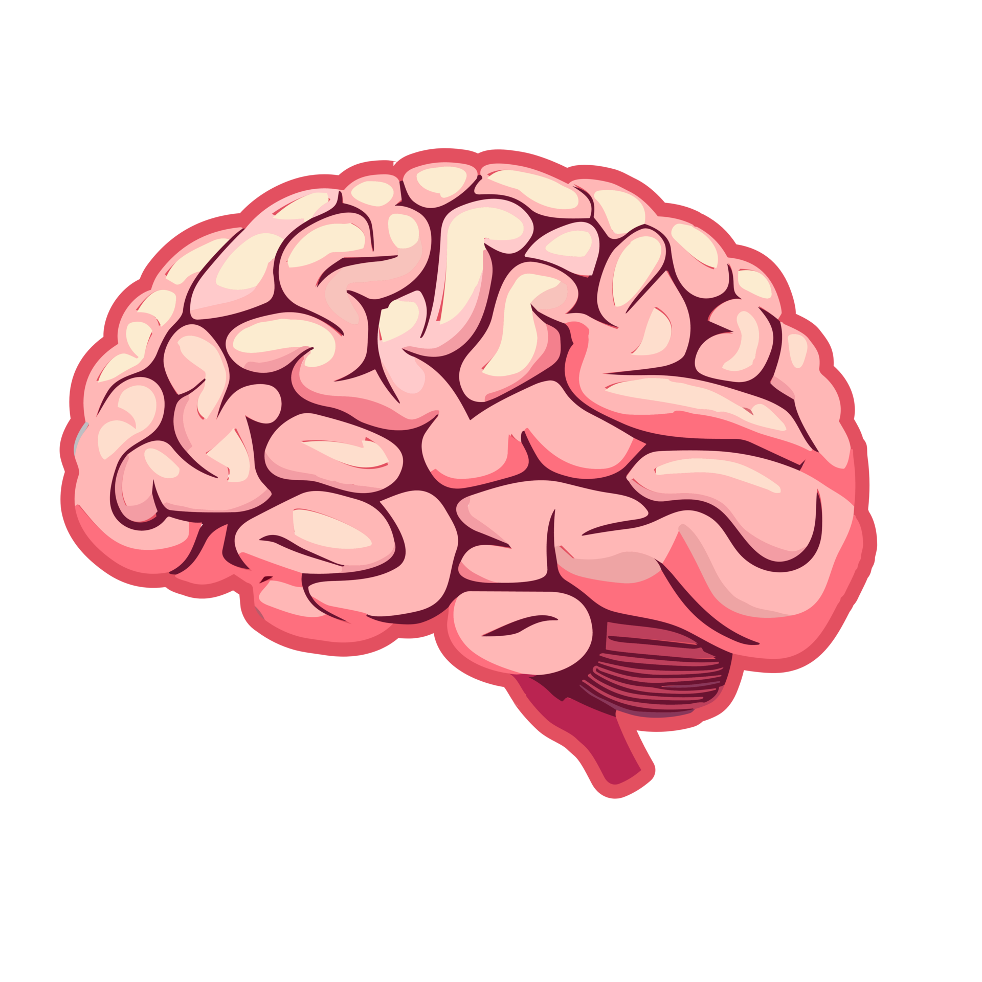 Human Brain Icon Human Brain Icon