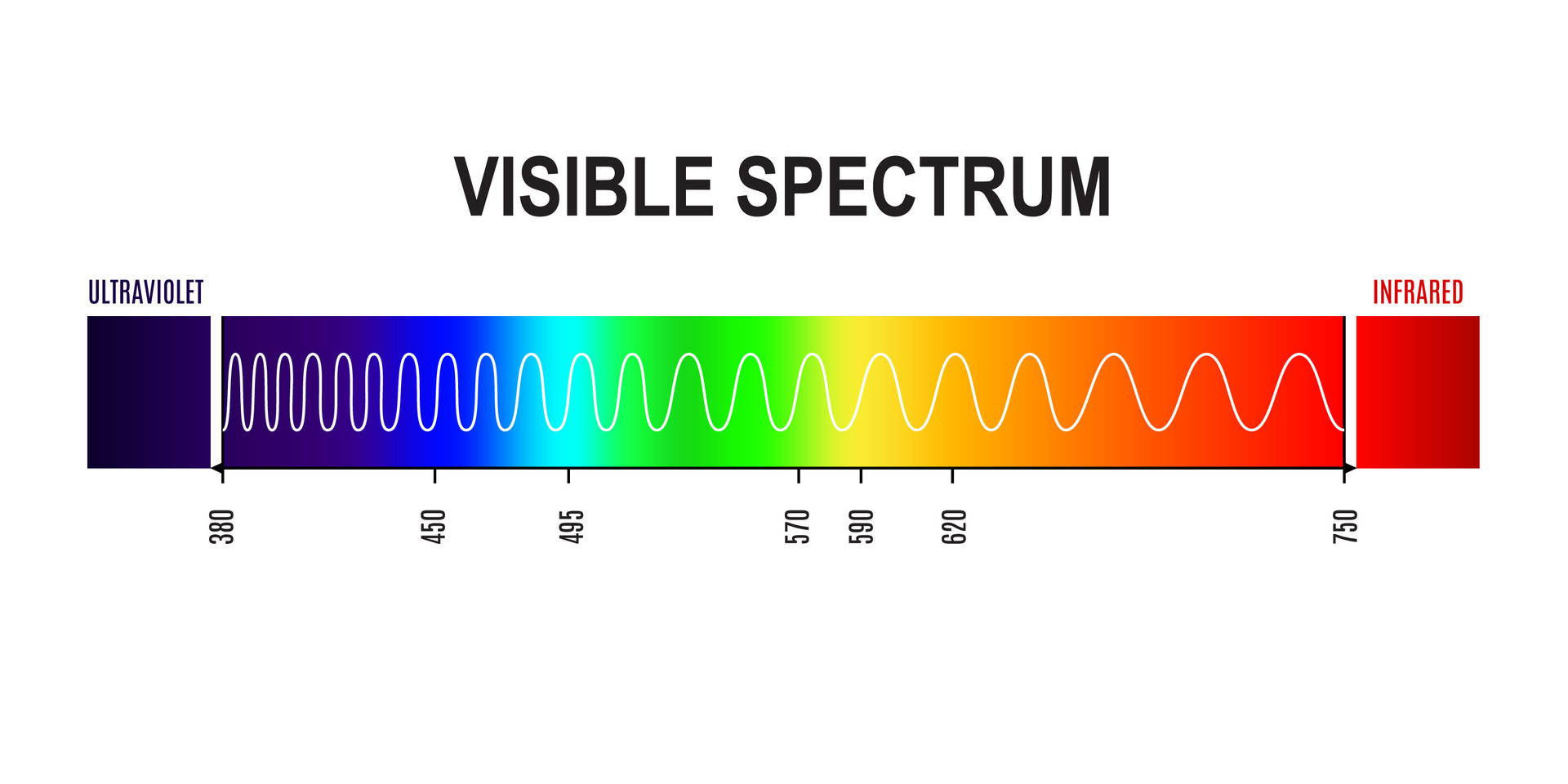Wavelength, visible light spectrum wave graph 28637124 Vector Art at ... Wavelength, visible light spectrum wave graph 28637124 Vector Art at ...
