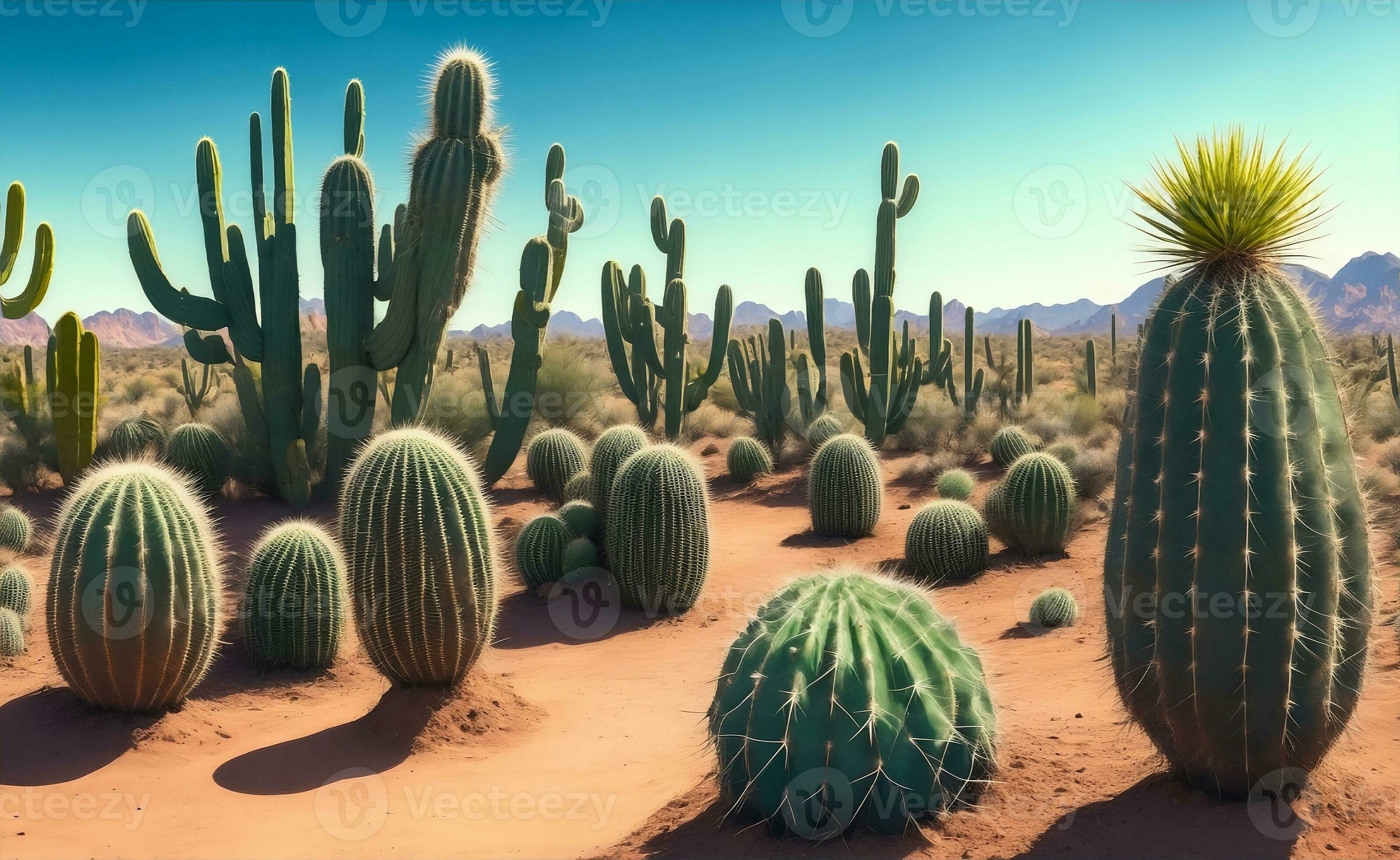 Cactus Plantas En Desierto Generativo Ai Ilustración 28666445 Foto De Stock En Vecteezy