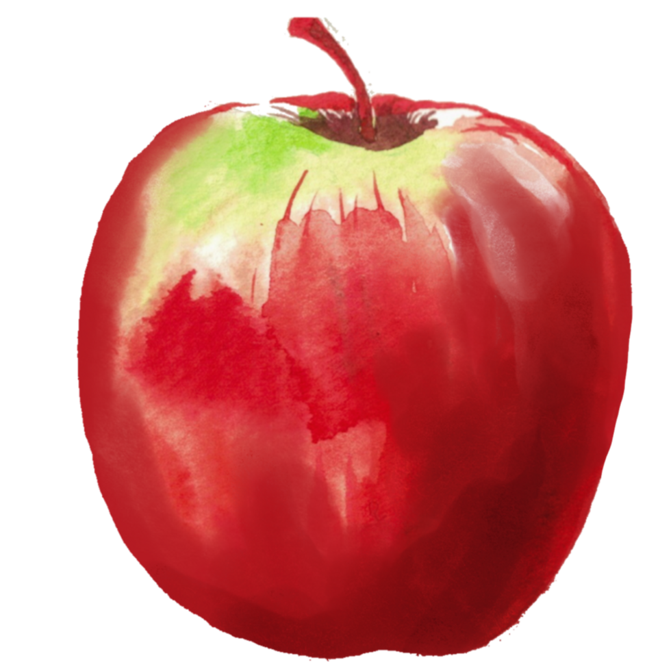 apple watercolor red fruit 28714187 PNG