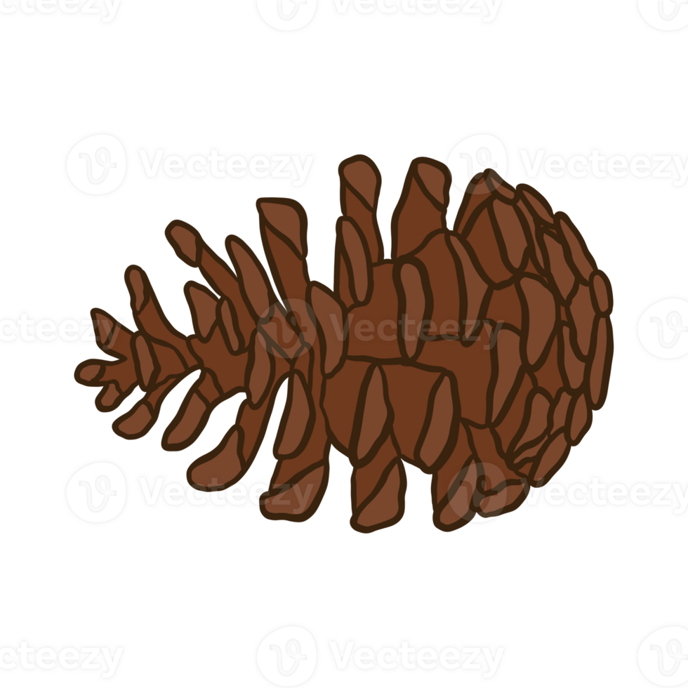 Pine Cone Illustration 28760364 Png