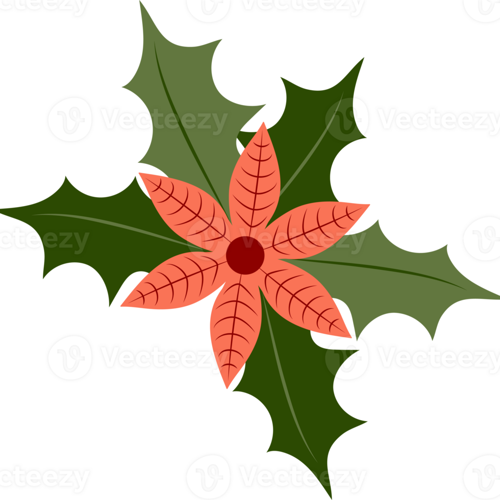 Christmas Poinsettia Flower 28802439 Png