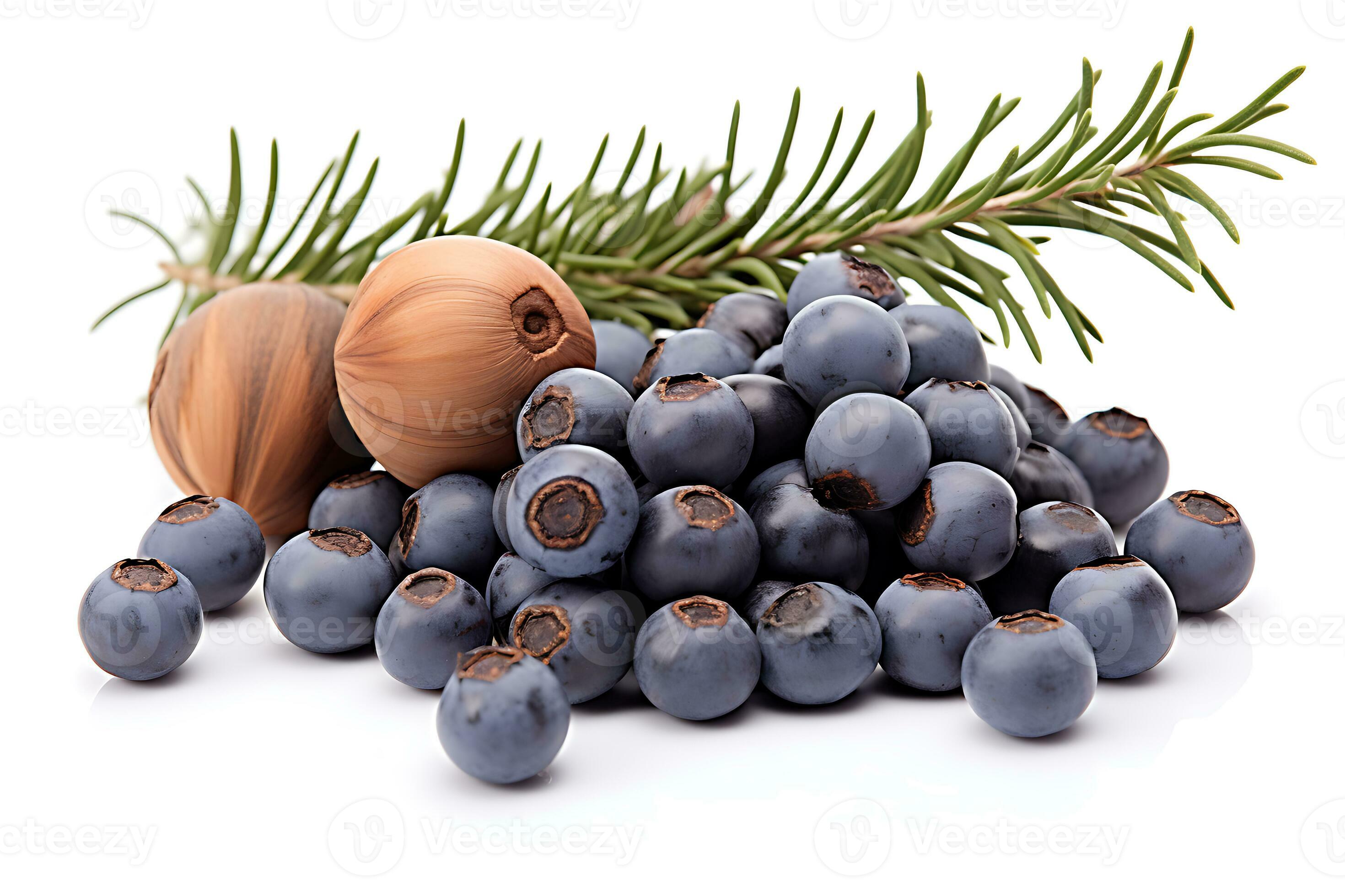 Juniper berry isolated on white background AI Generated 28821239 Stock ...