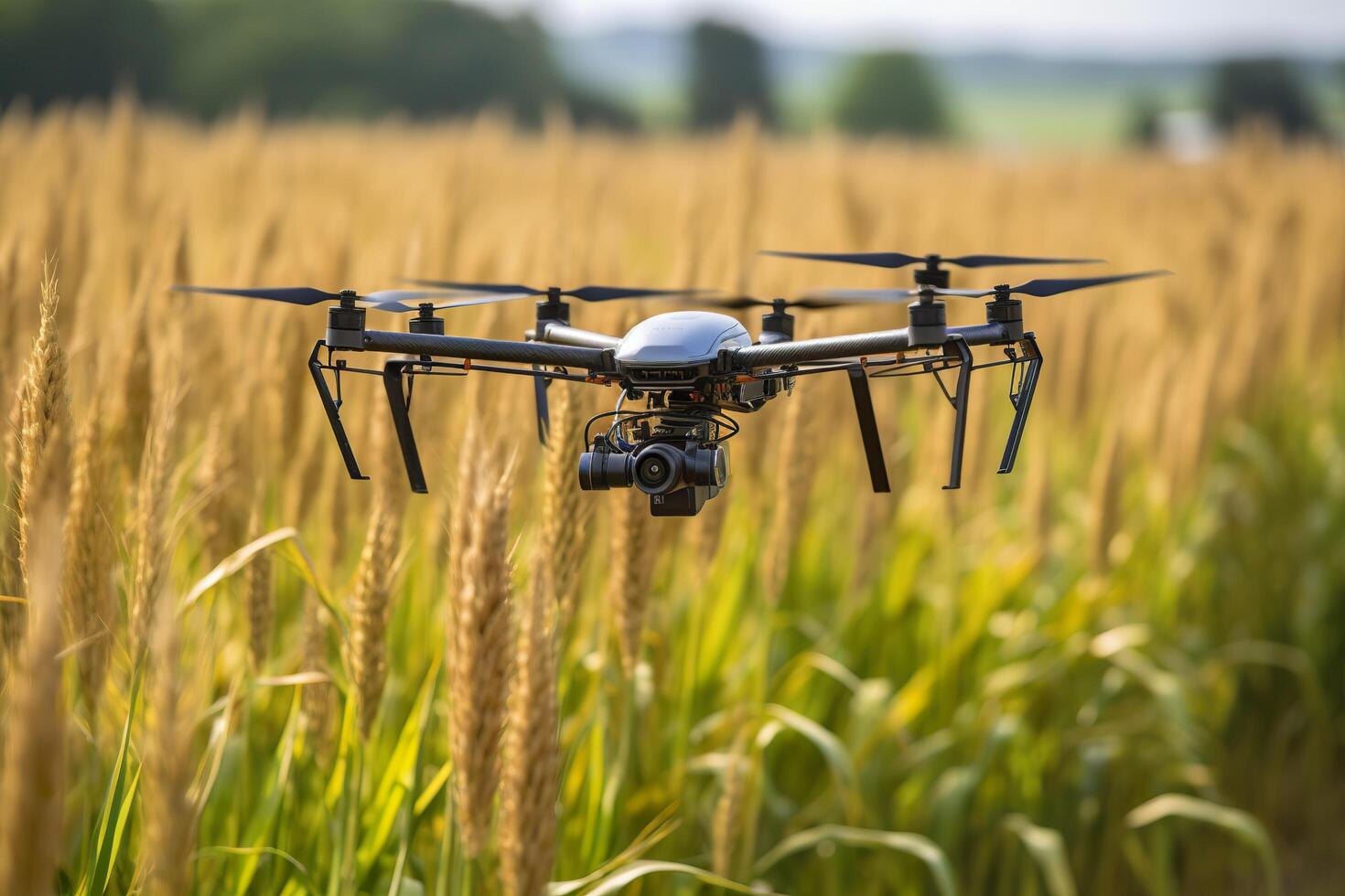 Drone monitoring crops and smart agriculture in a digital farming. AI ...