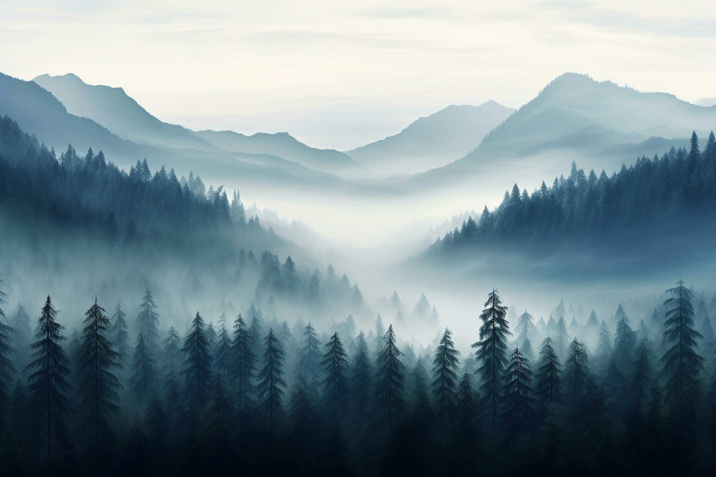 A mountains forest filled with lots of trees covered in fog, wallpaper ...