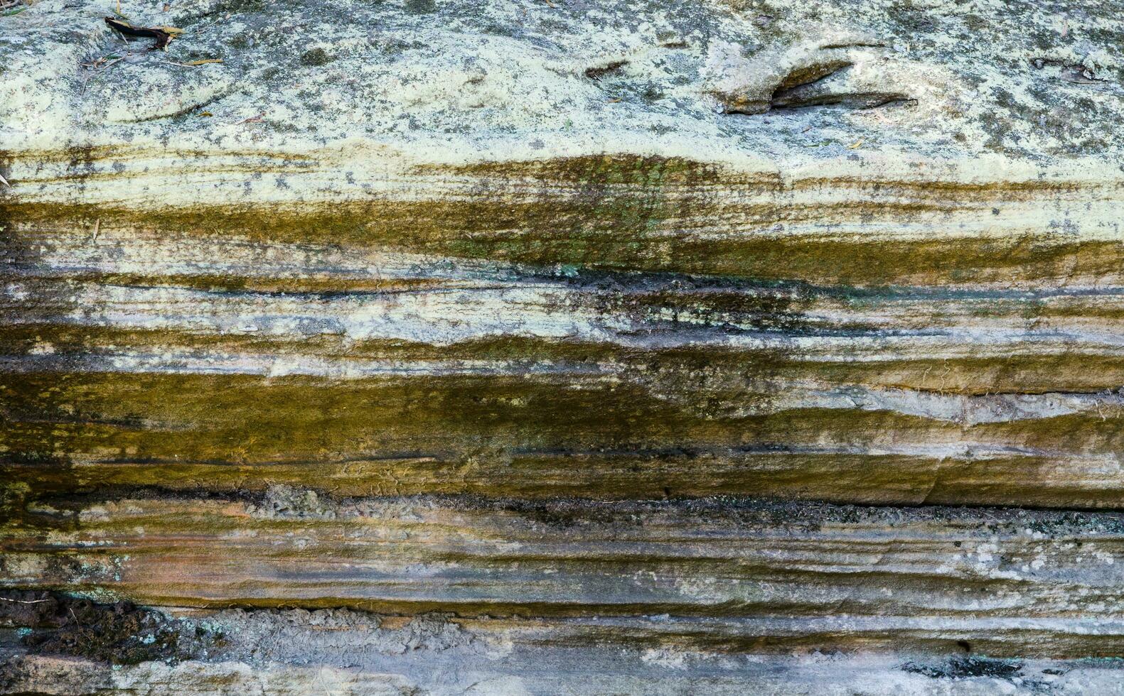 Nature Textures Patterns Stock Photos, Images and Backgrounds for Free ...