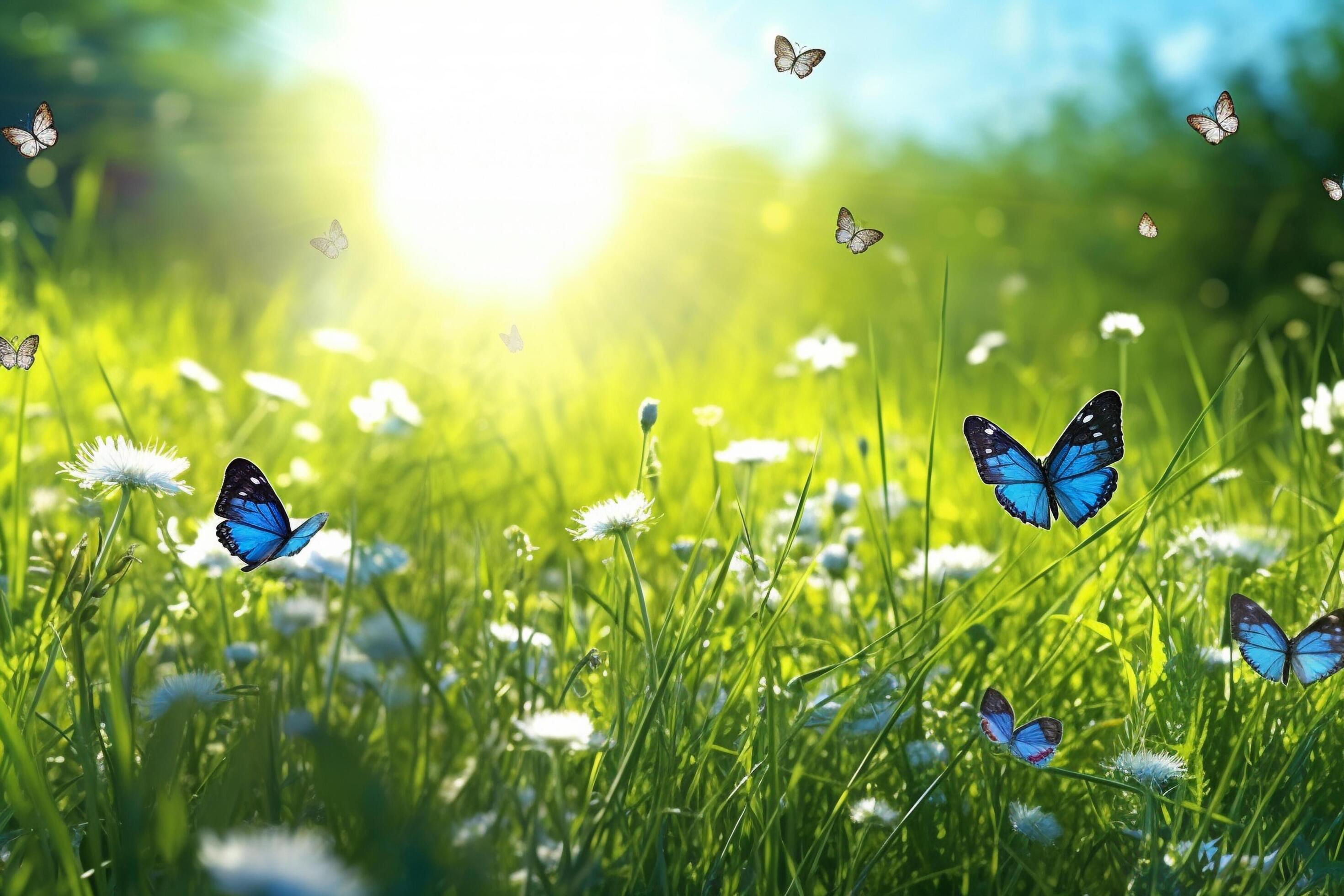 Spring meadow with flowers and butterflies. Nature background. 3d ...