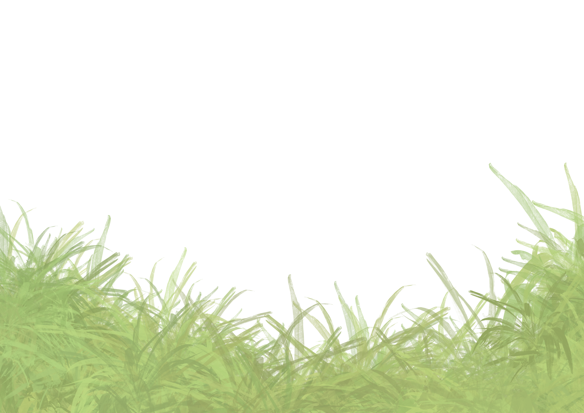 Green Grass Border 28888328 Png