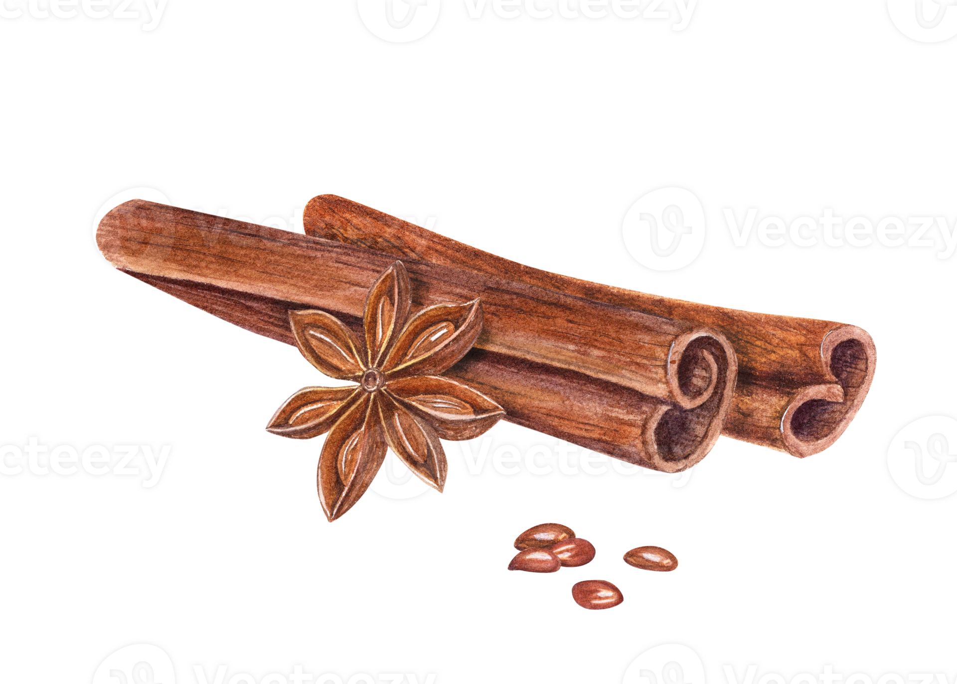 Watercolor Cinnamon Sticks Star Anise On White Cannella Badian Aromatic Brown Spices