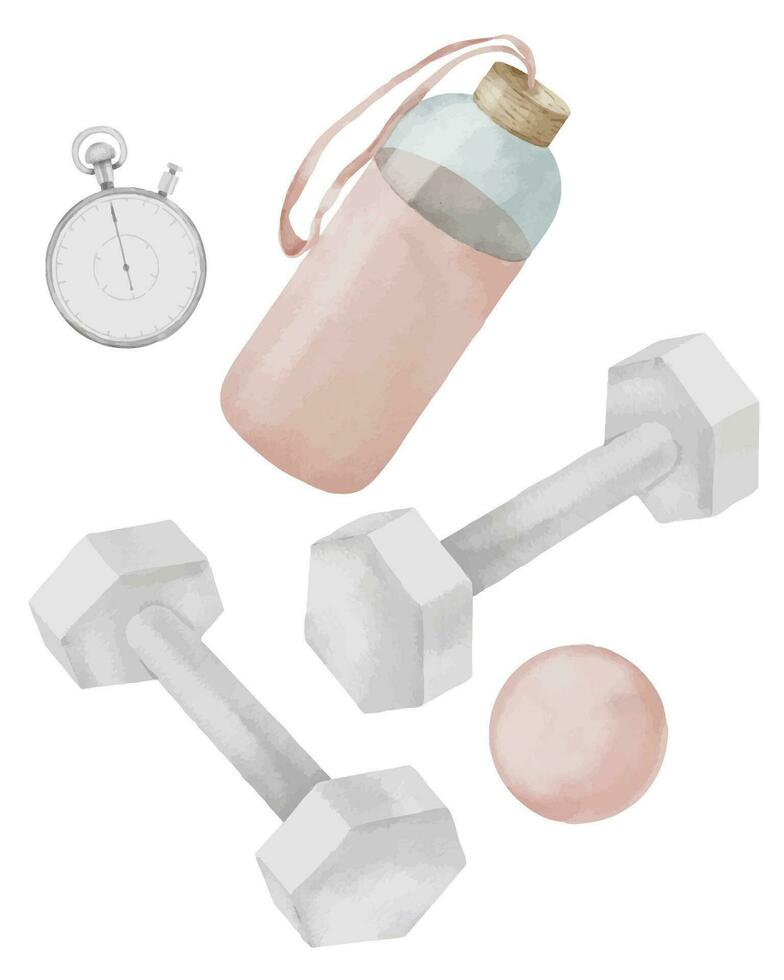 Water bottle with dumbbells and stopwatch clipart. Female Fitness ...