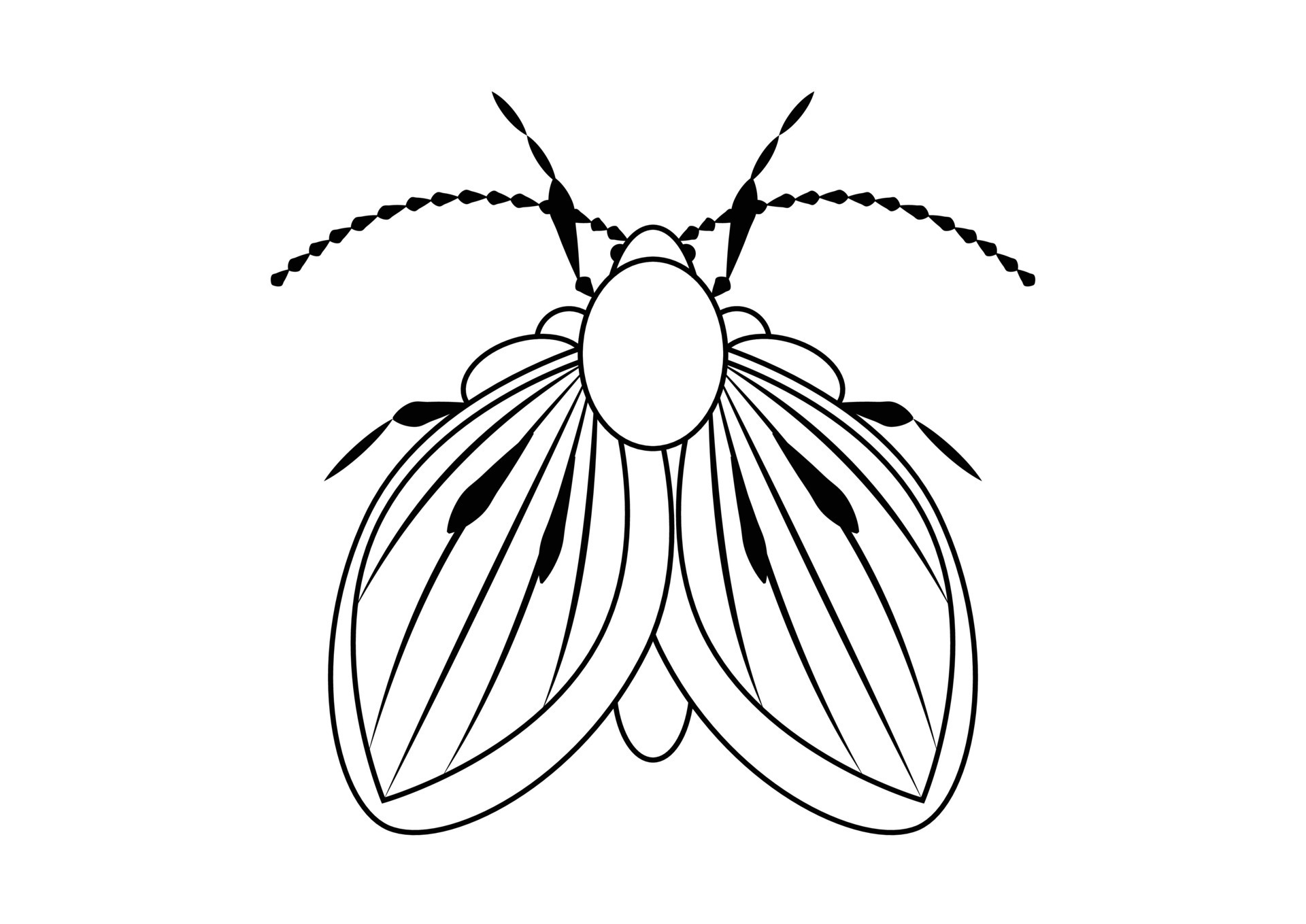 Black and White Moth Fly Insect Clipart. Coloring Page of a Moth Fly ...