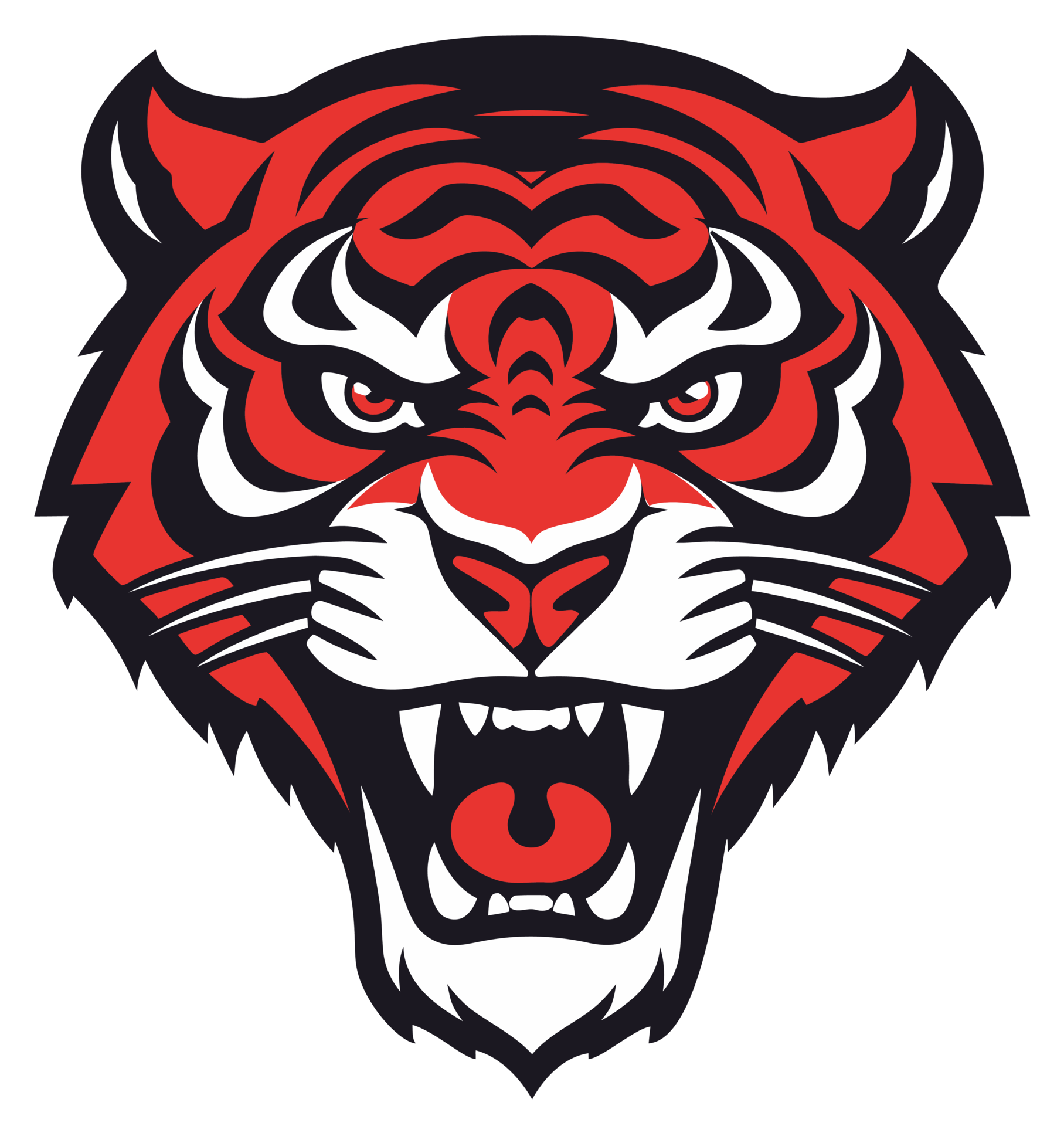 Tiger head Illustration 29127540 PNG