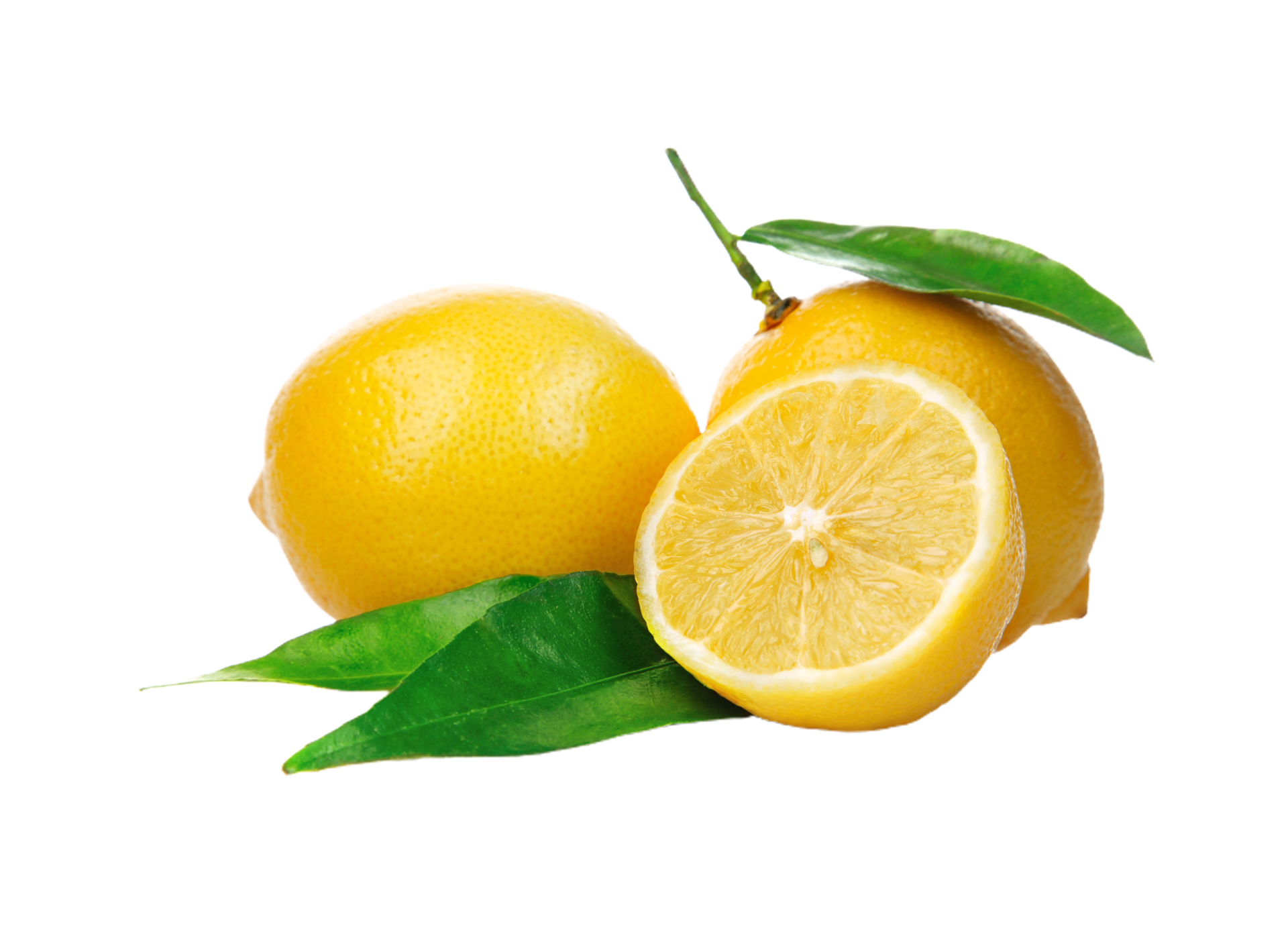 Lemon Leaf Isolated png 29128000 PNG Lemon Leaf Isolated png 29128000 PNG