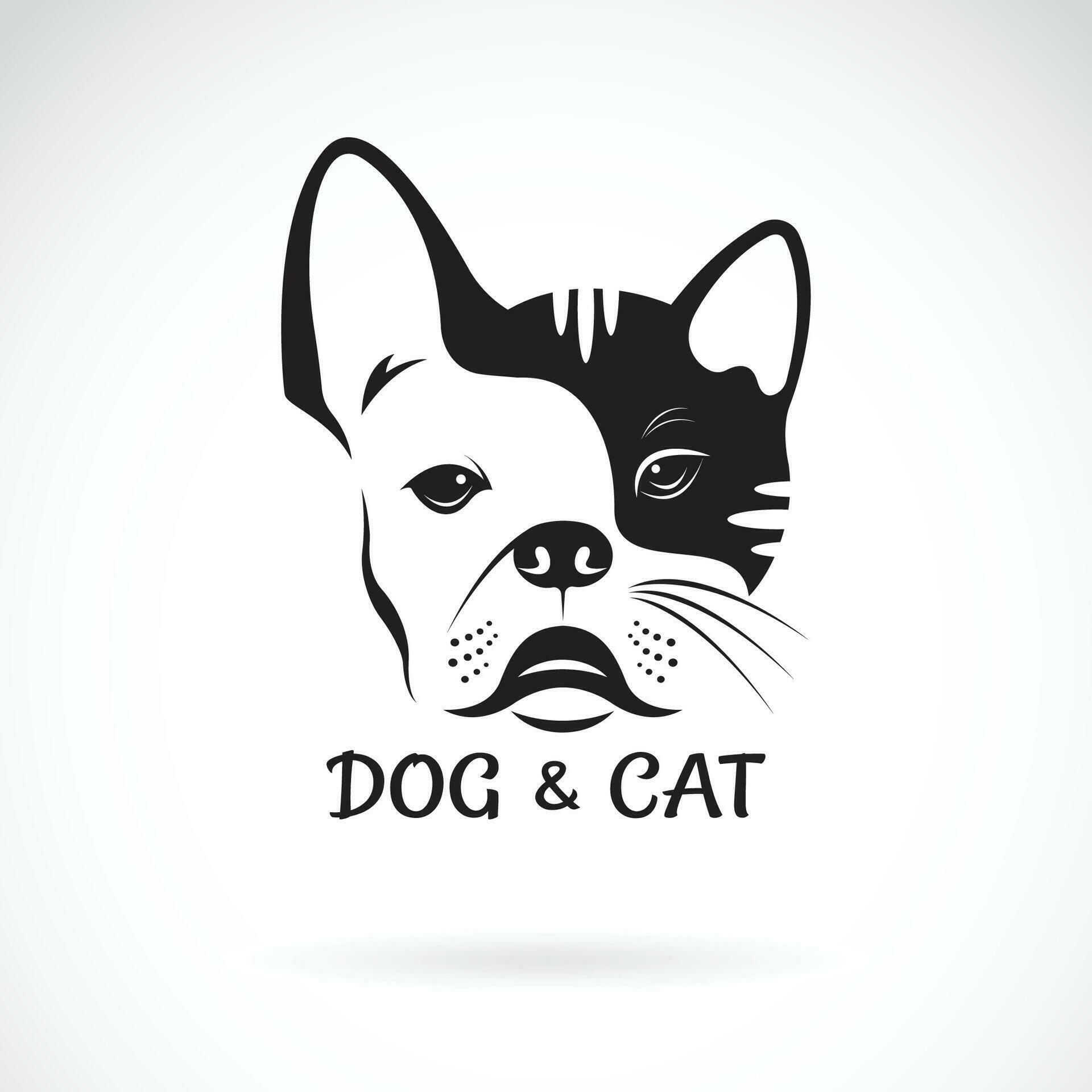 Vector of dog face bulldog and cat face design on a white background. Pet. Animal. Dog and cat ...