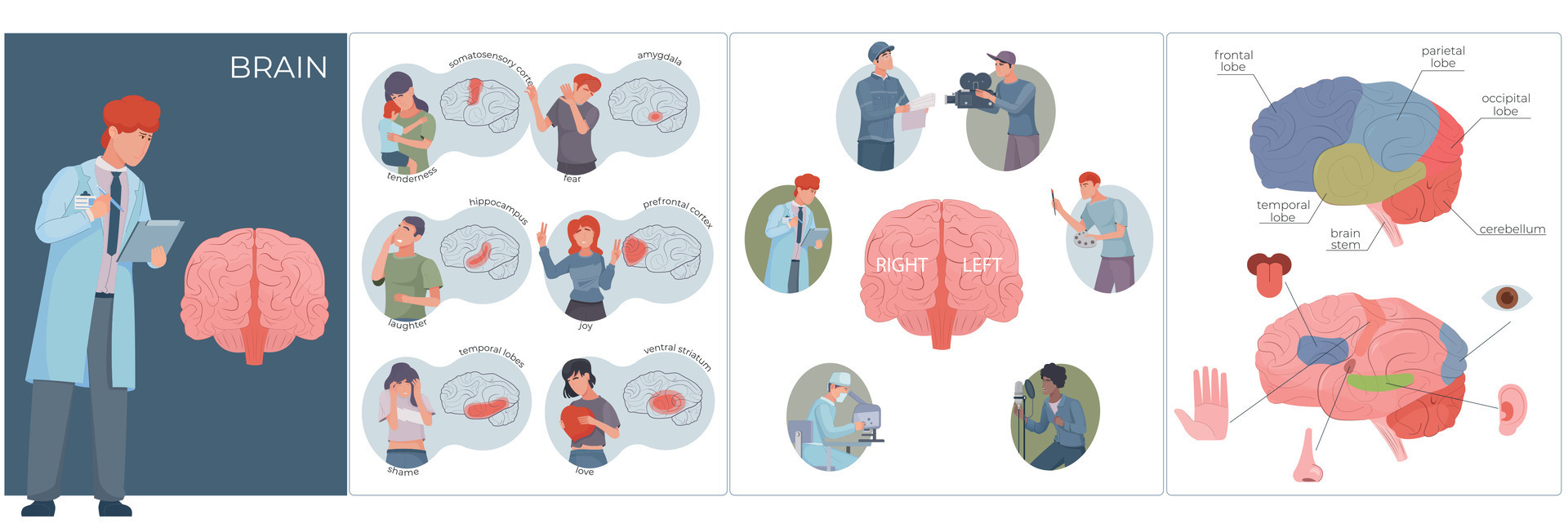 Brain Function Composition Set 29183049 Vector Art at Vecteezy