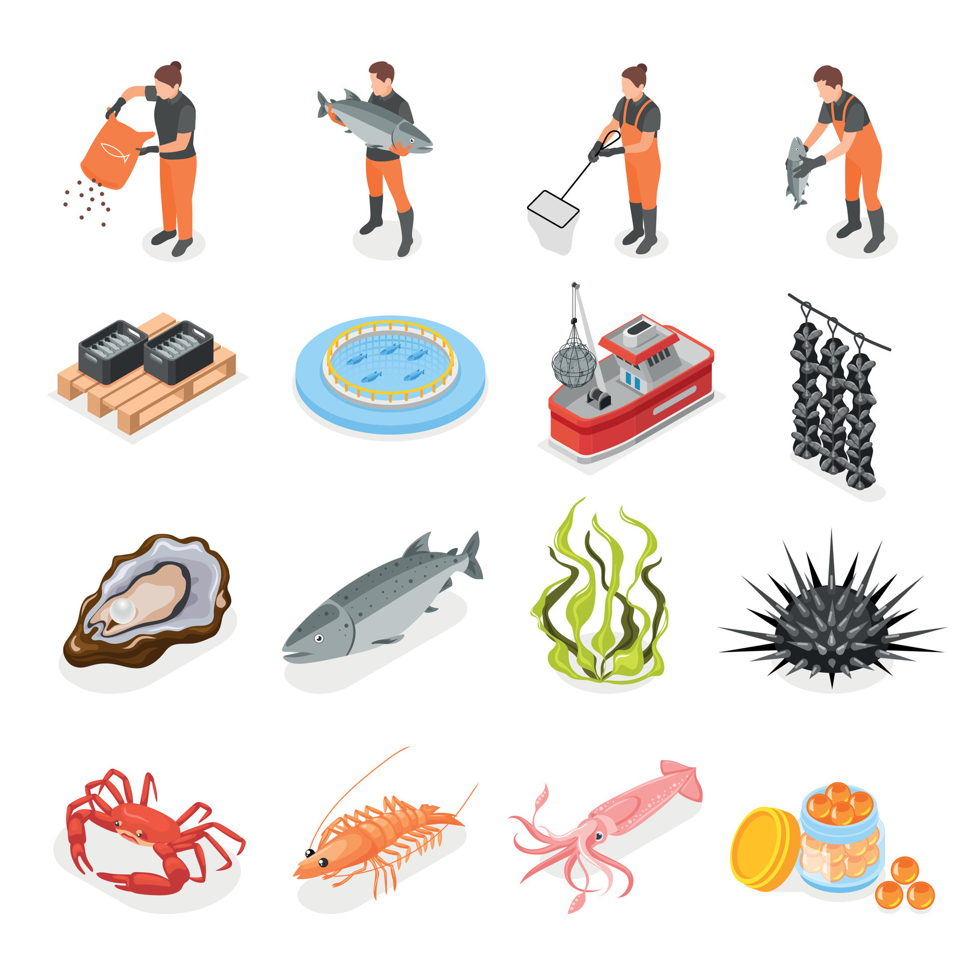 Mariculture Isometric Icon Set 29184505 Vector Art at Vecteezy Mariculture Isometric Icon Set 29184505 Vector Art at Vecteezy