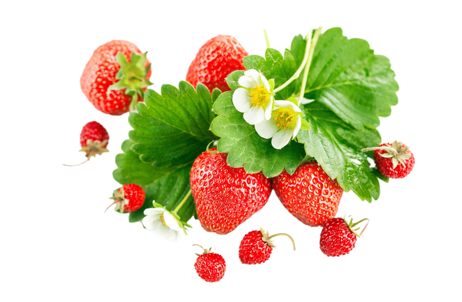 strawberry png transparent background 29200033 PNG strawberry png transparent background 29200033 PNG