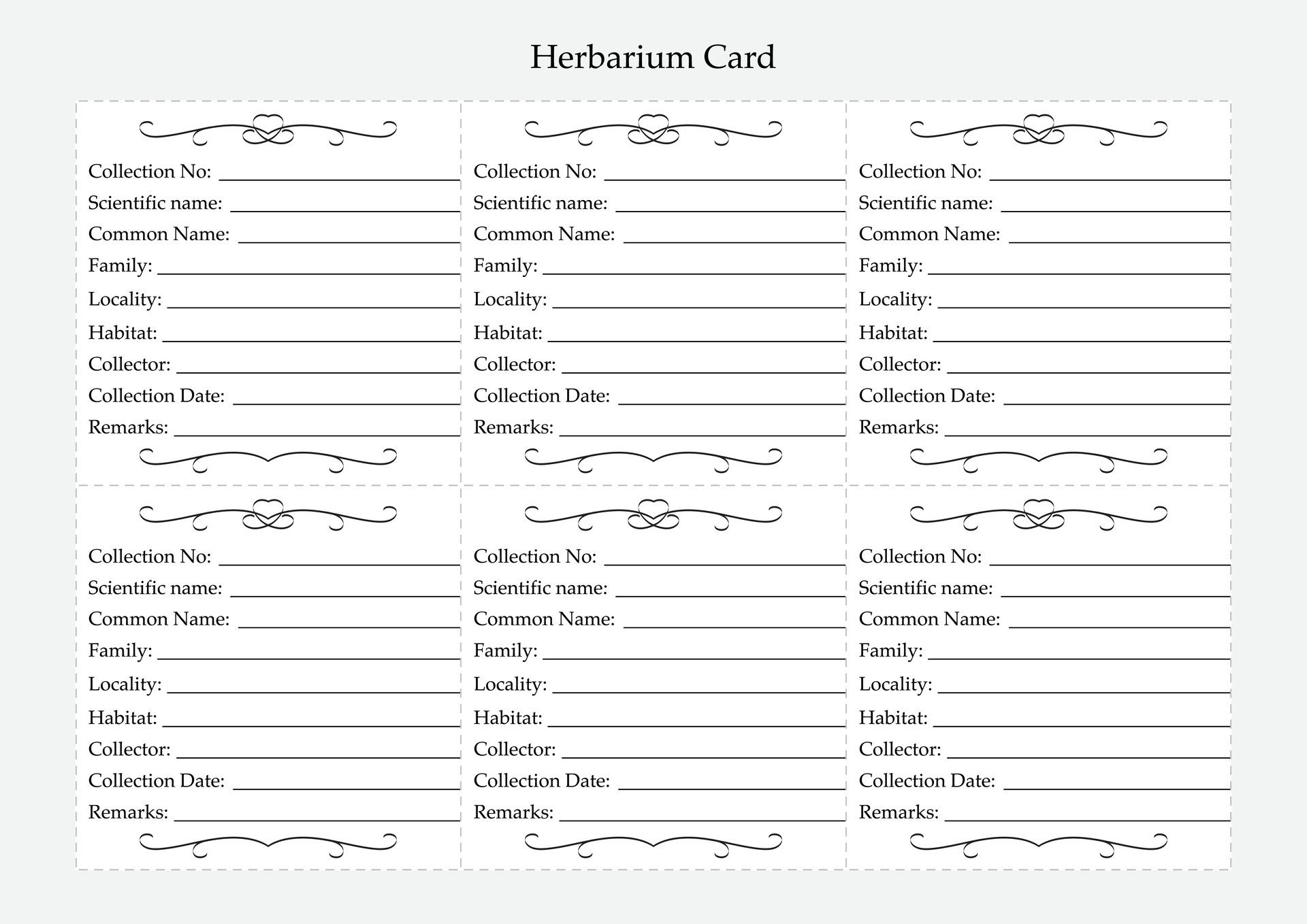 herbario etiqueta hoja. planta identificación modelo. colección y ...