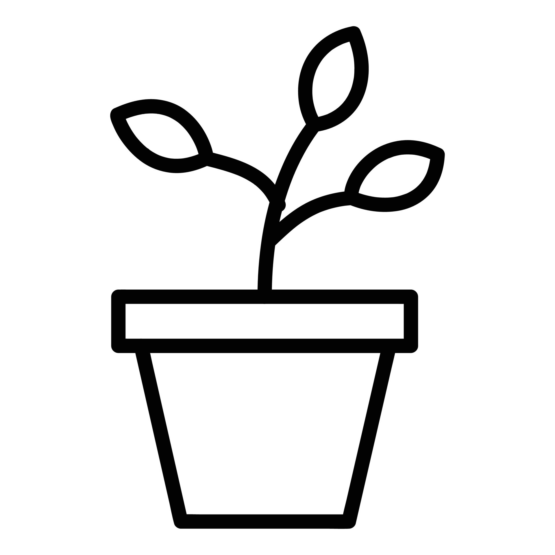 planta vector icono, lineal estilo icono, desde agricultura íconos ...