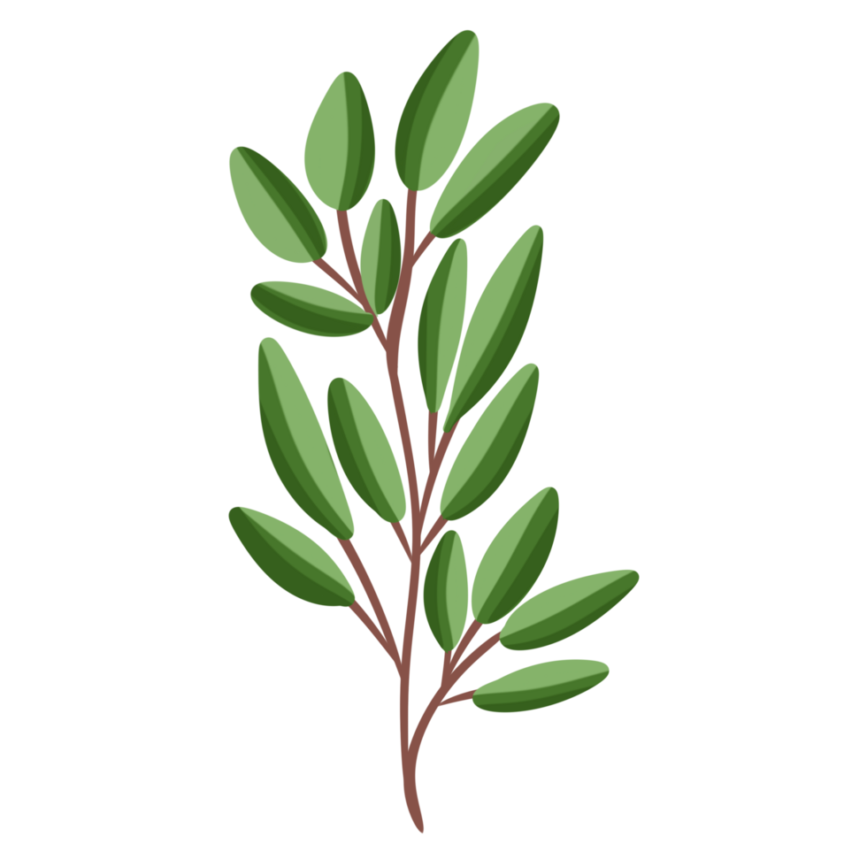 conjunto de hoja ilustración rama de planta. 29227240 PNG