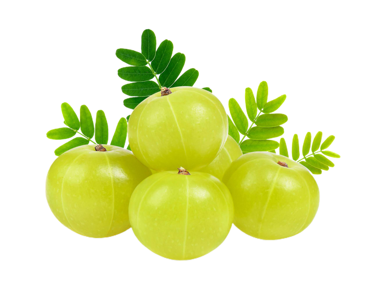 amla png transparente fundo 29228730 PNG