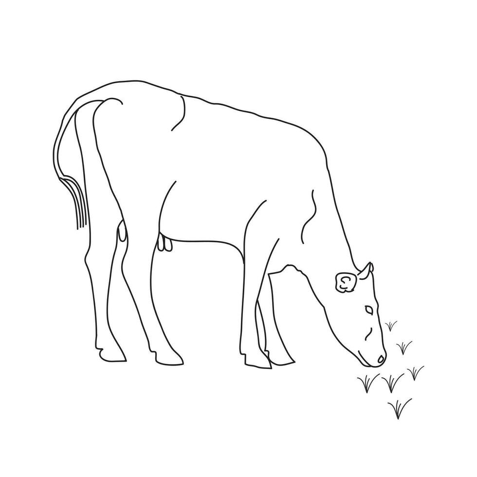 Cow Eating Grass Outline Drawing On White 29241938 Vector Art At Vecteezy