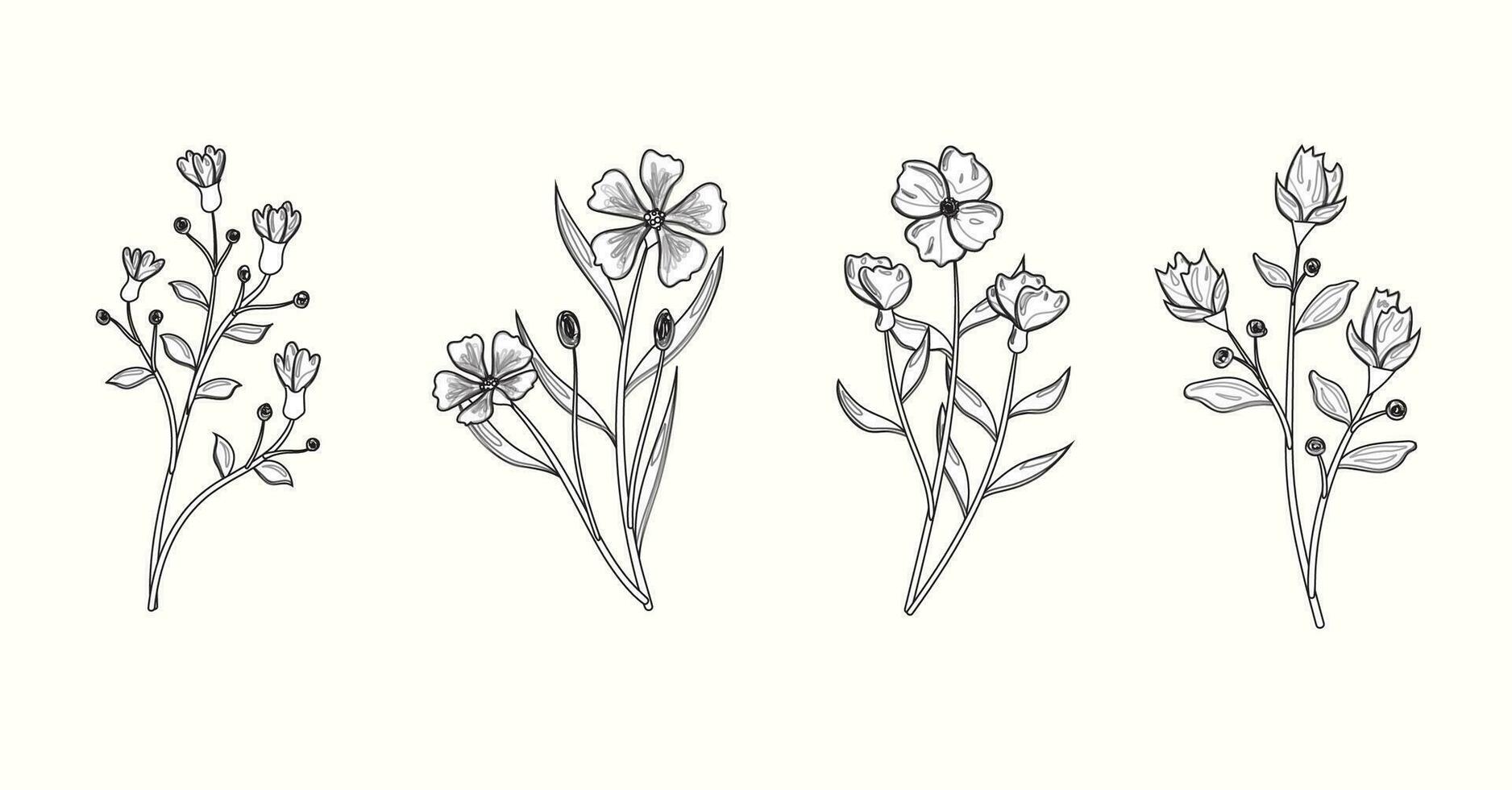 Flowers And Leaves Line Art Collection 29311988 Vector Art At Vecteezy