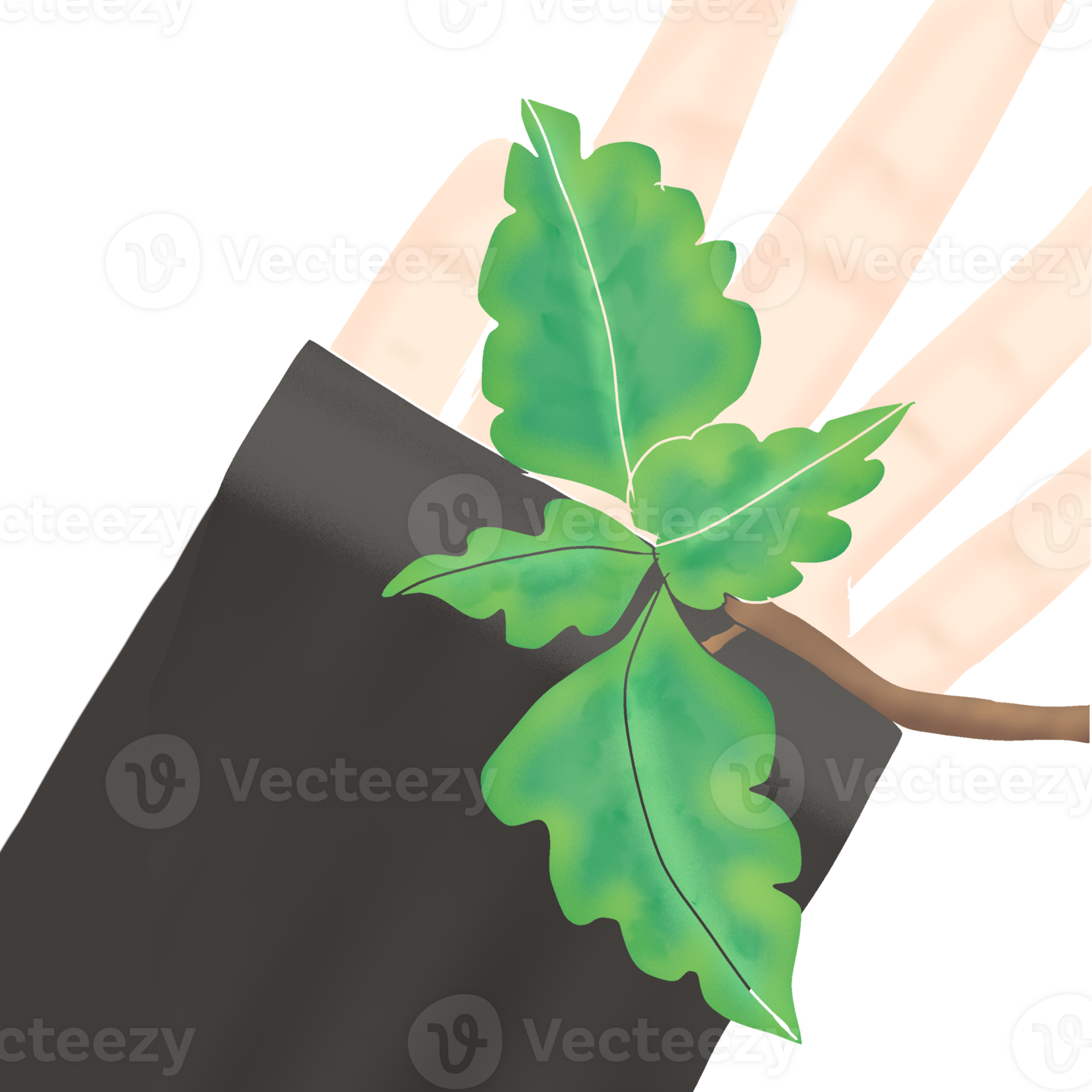 Leave Or Leaf With Branch On Hand 29317950 PNG leave-or-leaf-with-branch-on-hand-29317950-png