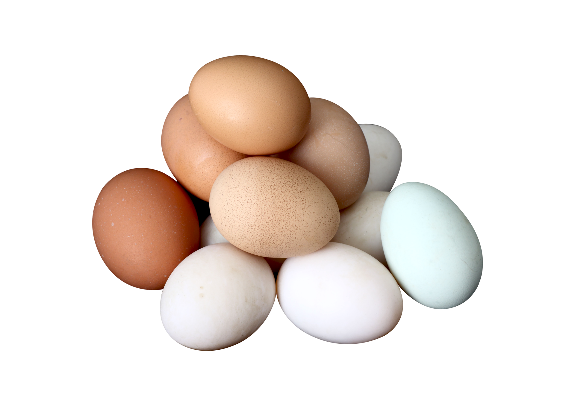 egg png transparent background 29332711 PNG