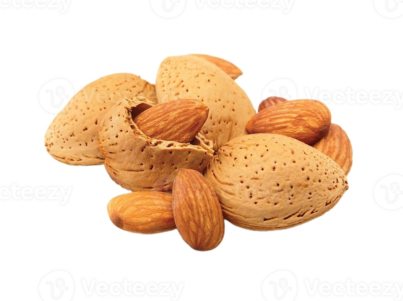 almonds png transparent background 29333838 PNG almonds png transparent background 29333838 PNG