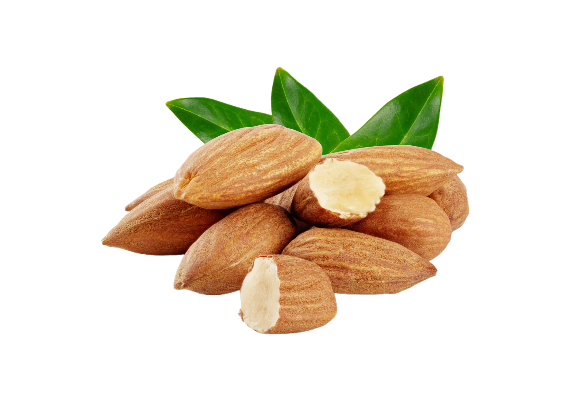 almonds png transparent background 29334837 PNG almonds png transparent background 29334837 PNG