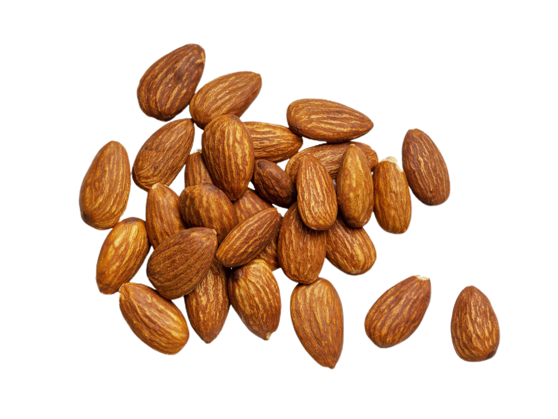 almonds png transparent background 29335089 PNG almonds png transparent background 29335089 PNG