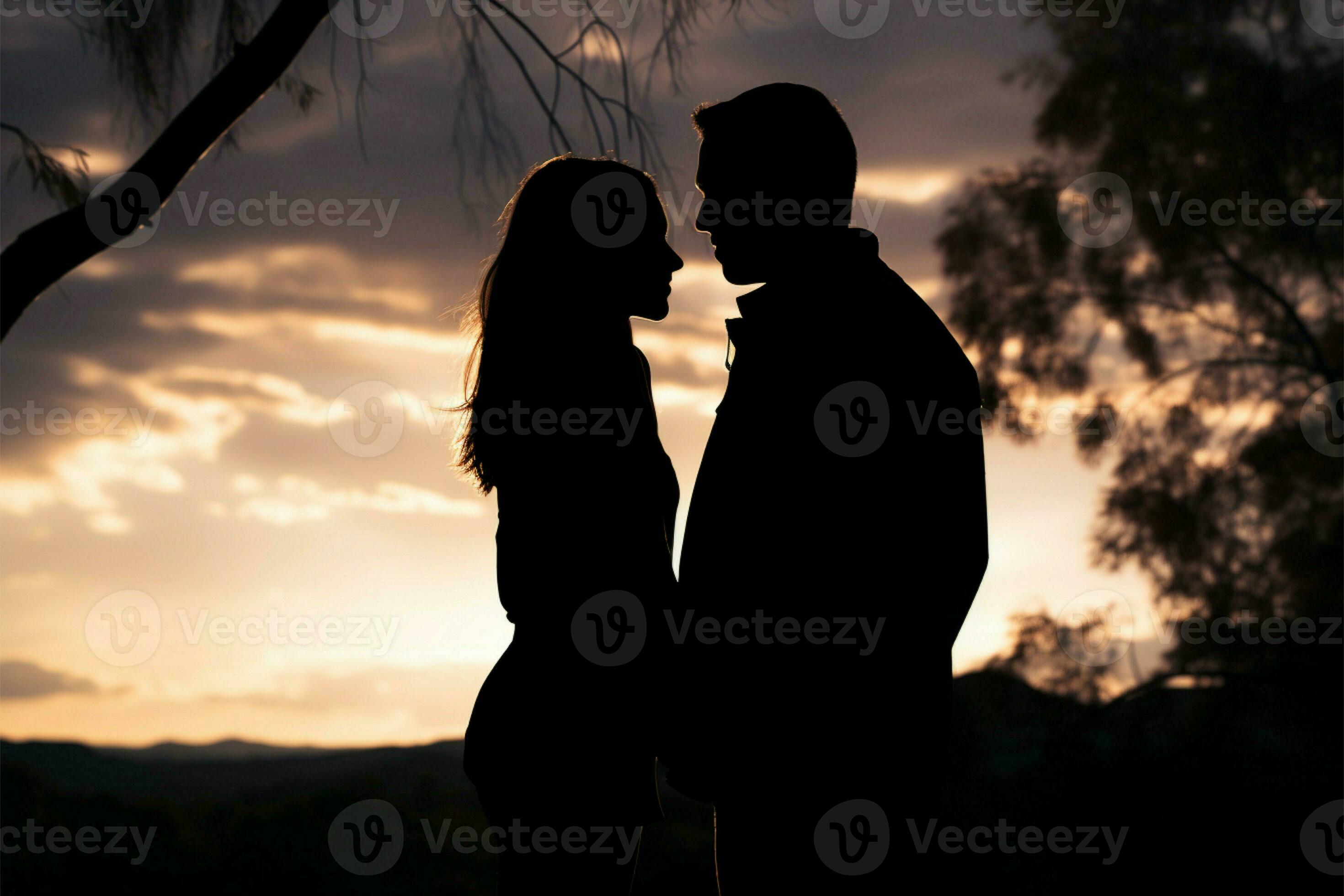 Evening skys backdrop frames serene couples touching silhouette scene ...