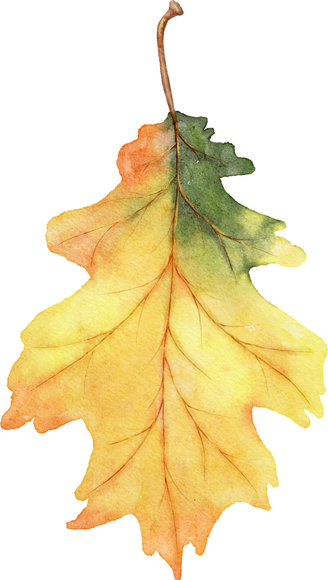 Autumn Leaves Watercolor 29436042 PNG