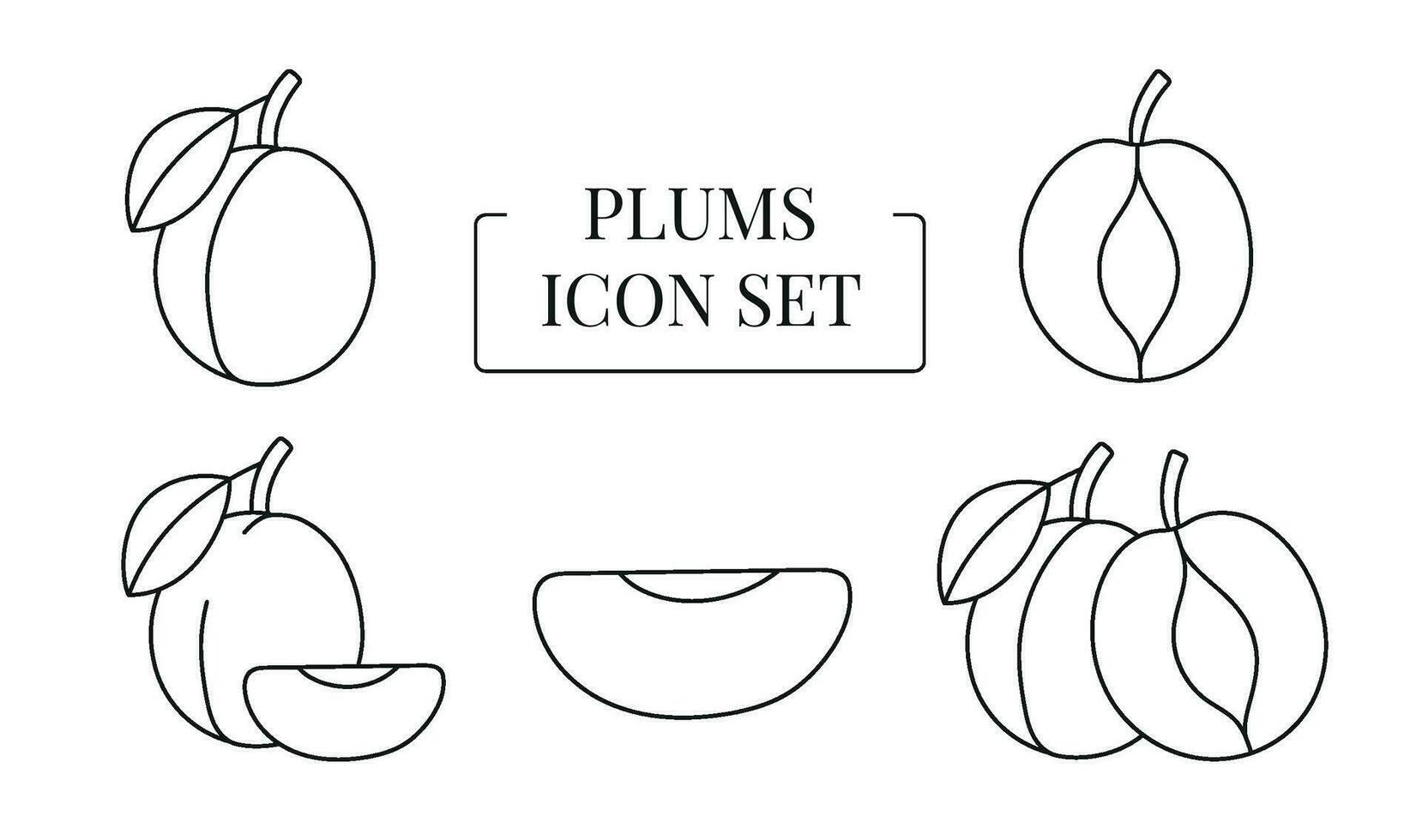 Plum fruit whole and half, cut into slices, set of line icons in vector ...
