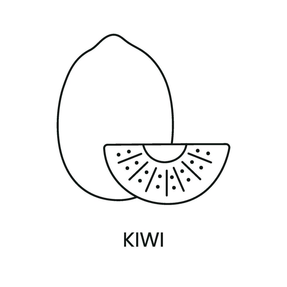 Kiwi line icon in vector, fruit illustration. 29454050 Vector Art at Vecteezy