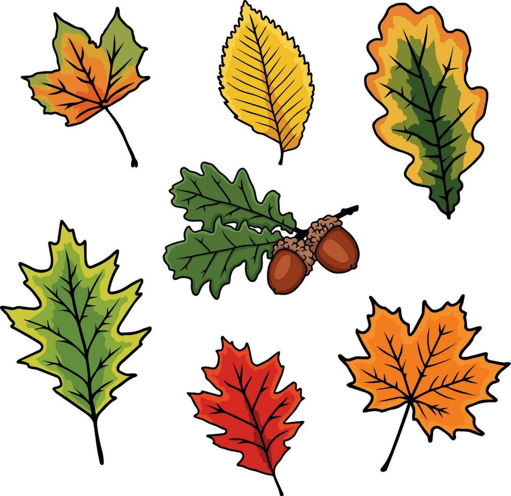 Clipart Autumn Leaves at Lanny Rivera blog