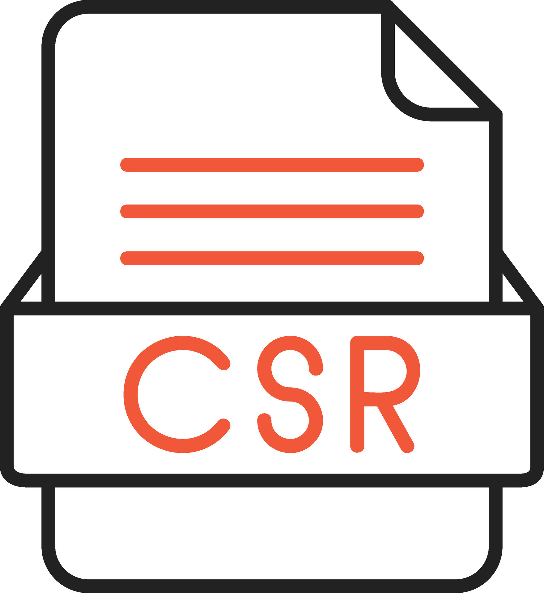 CSR File Format Vector Icon 29464059 Vector Art at Vecteezy